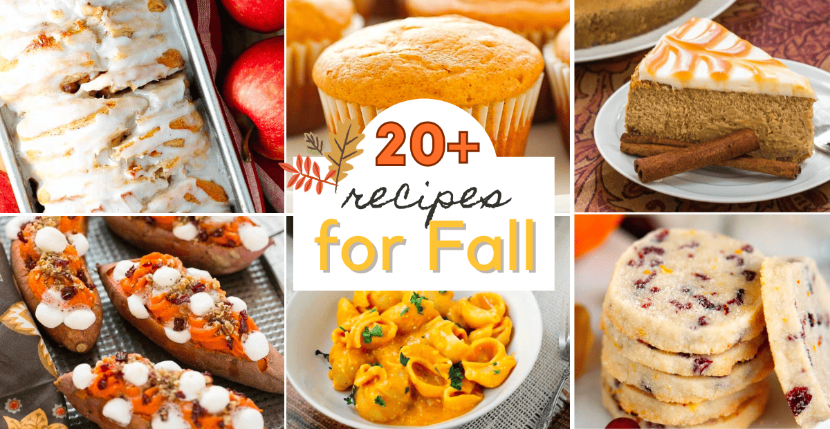 20+ Recipes for Fall