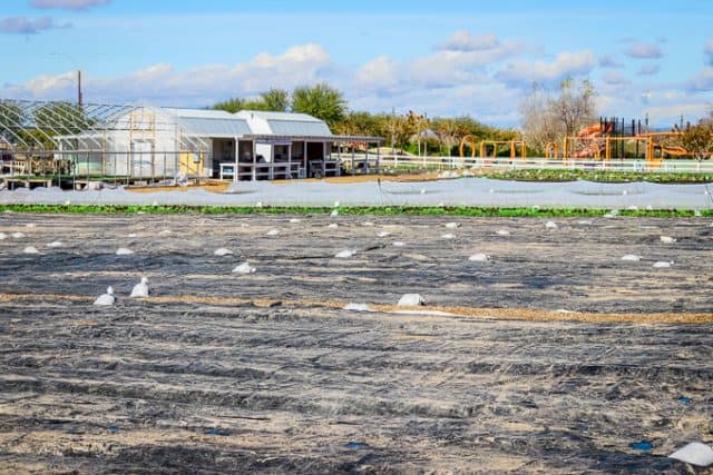 Steadfast Farm - A Micro Farm Tour - 365 Days of Baking