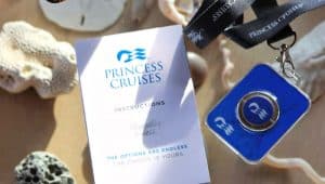 The Princess Ocean Medallion - 365 Days of Baking