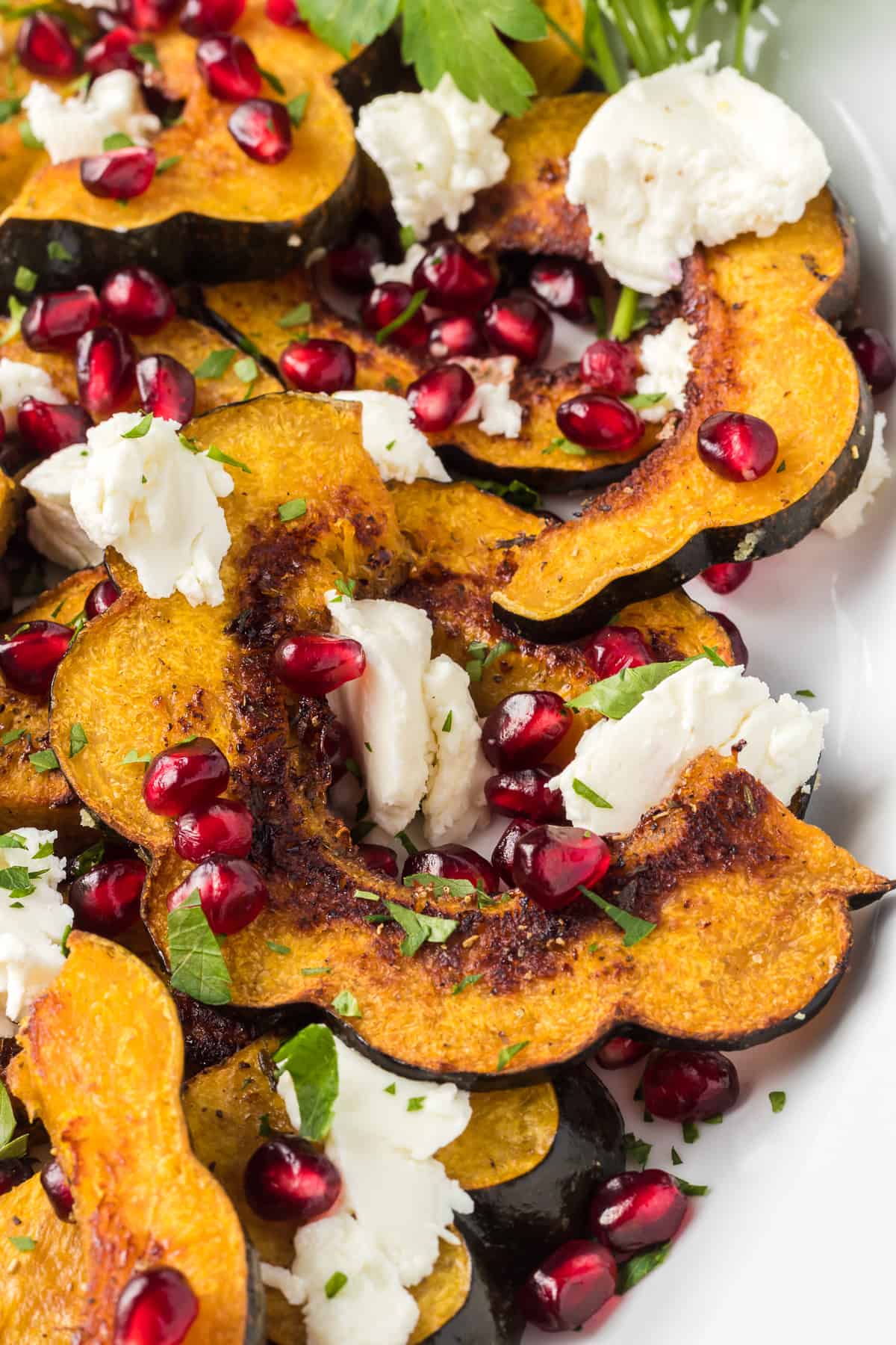 Roasted Acorn Squash with Goat Cheese | 365 Days of Baking