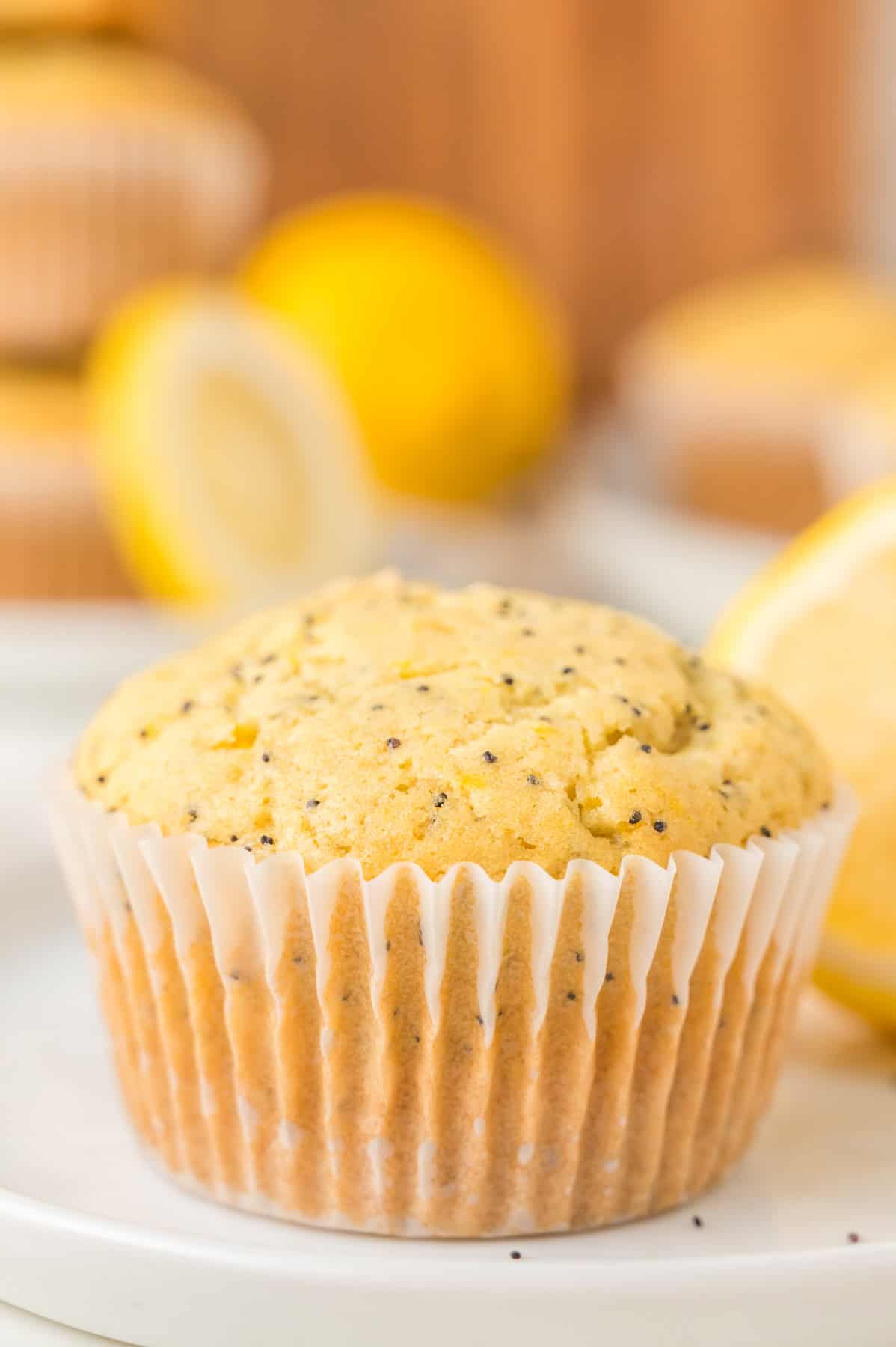 Lemon Poppy Seed Muffins: A Quick and Easy Bake | 365 Days of Baking ...