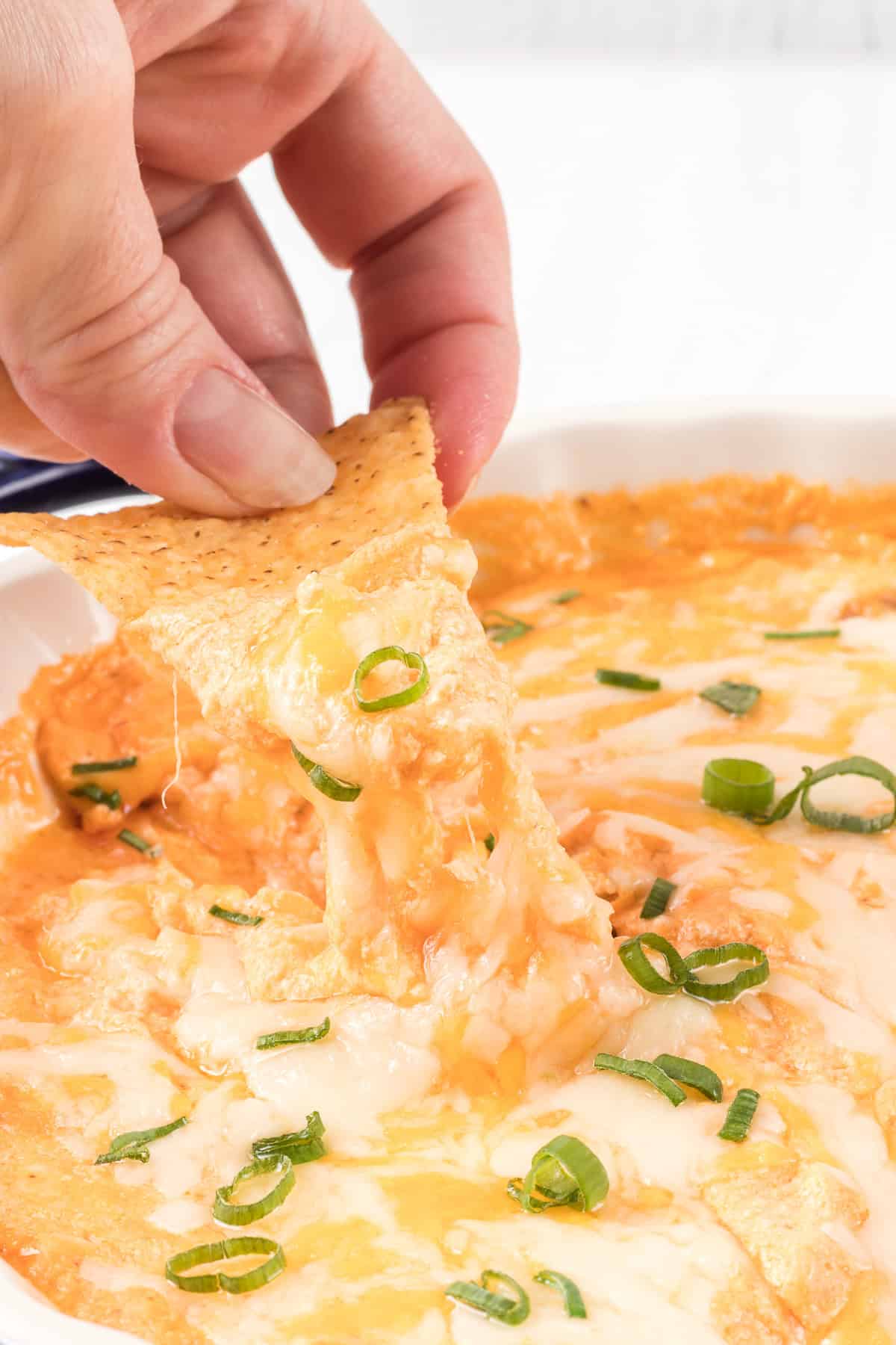 Cottage Cheese Buffalo Rooster Dip - A Should Strive - Street Food ...