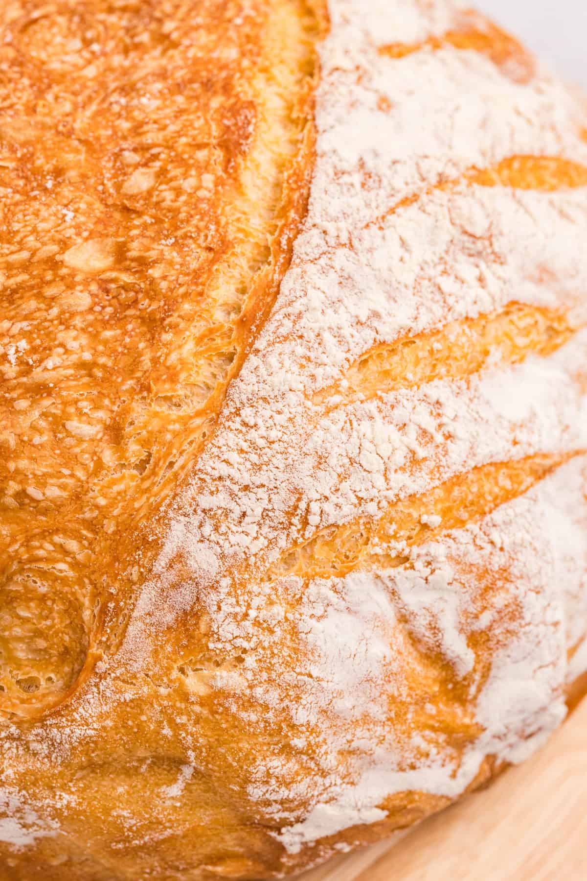 Dutch Oven Bread: Easy No-Knead Recipe | 365 Days of Baking and More